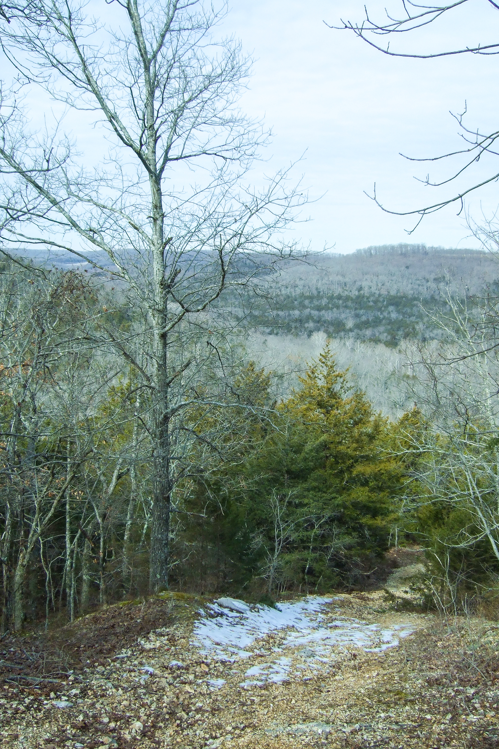 Halfway up the first hill - Busiek State Forest & Wildlife Area ...
