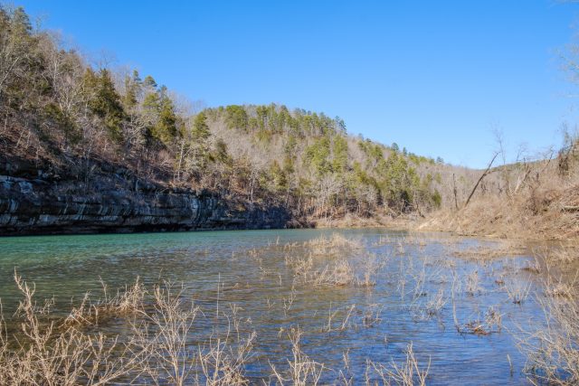 North Fork River - Breakfast in America