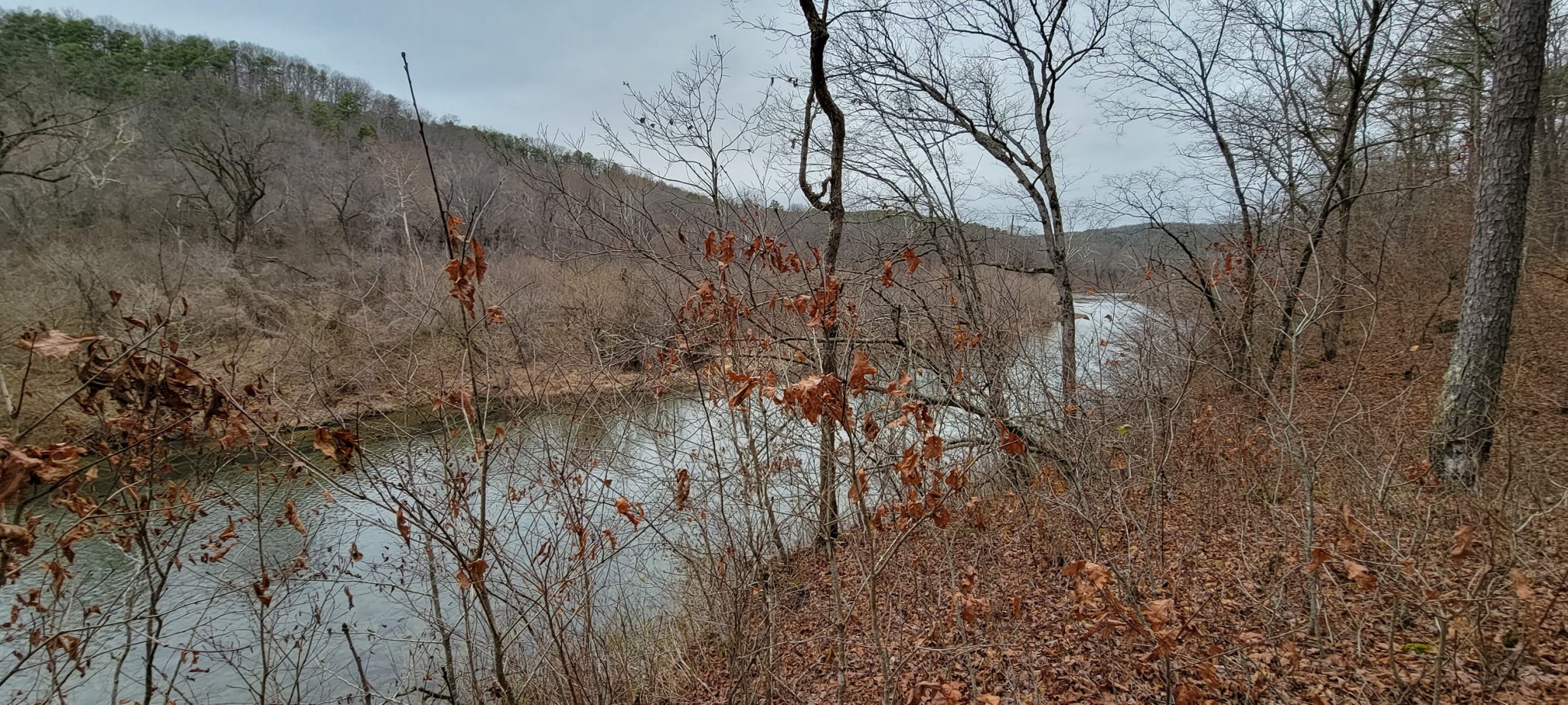 Another view of the North Fork River - Breakfast in America